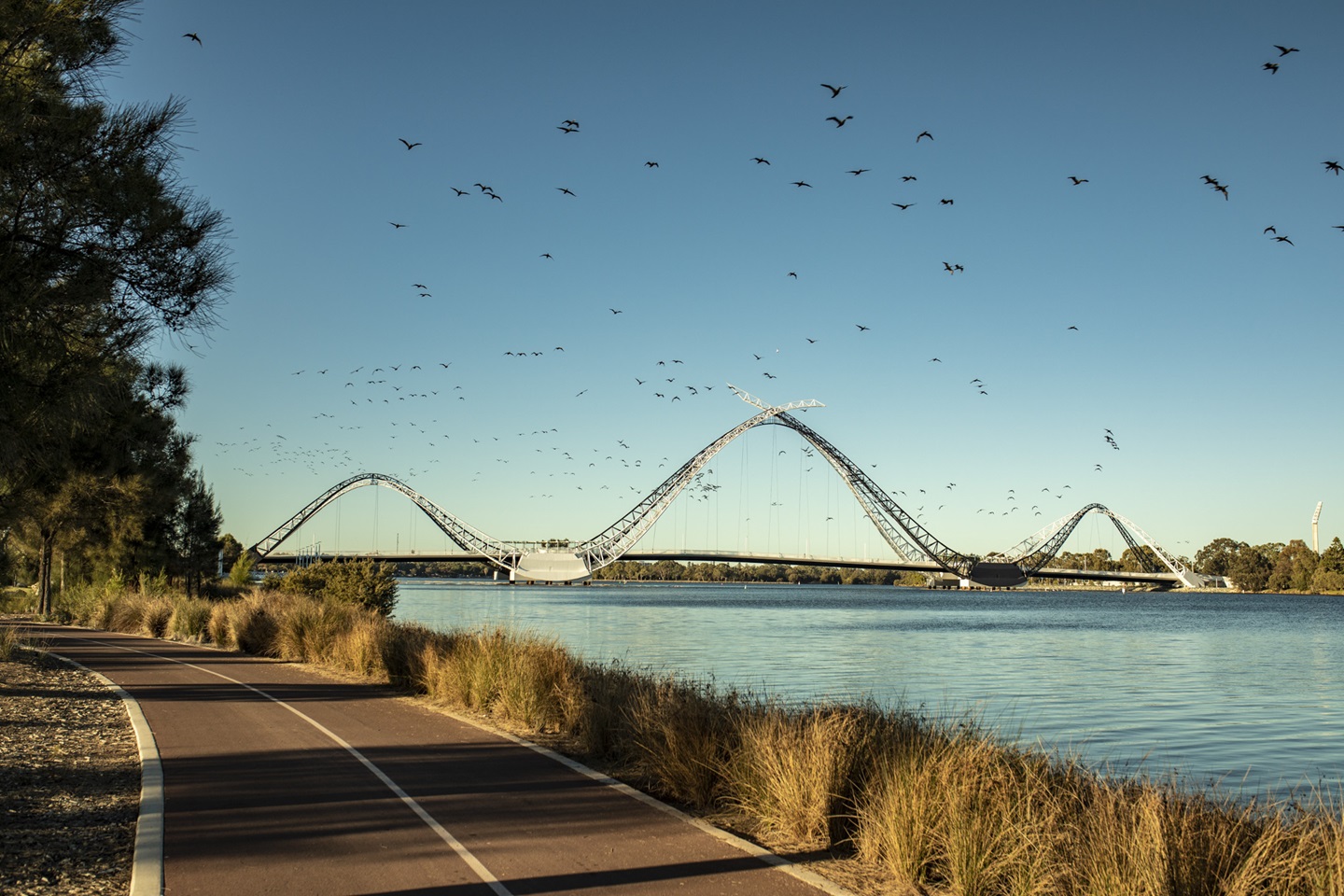 Matagarup Bridge | Visit Perth