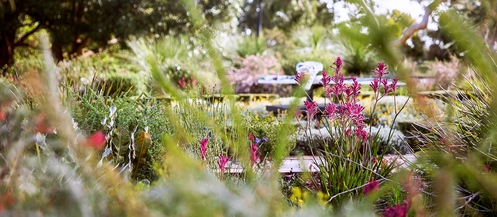 Parks In Perth | Parks, Gardens & Reserves | Visit Perth