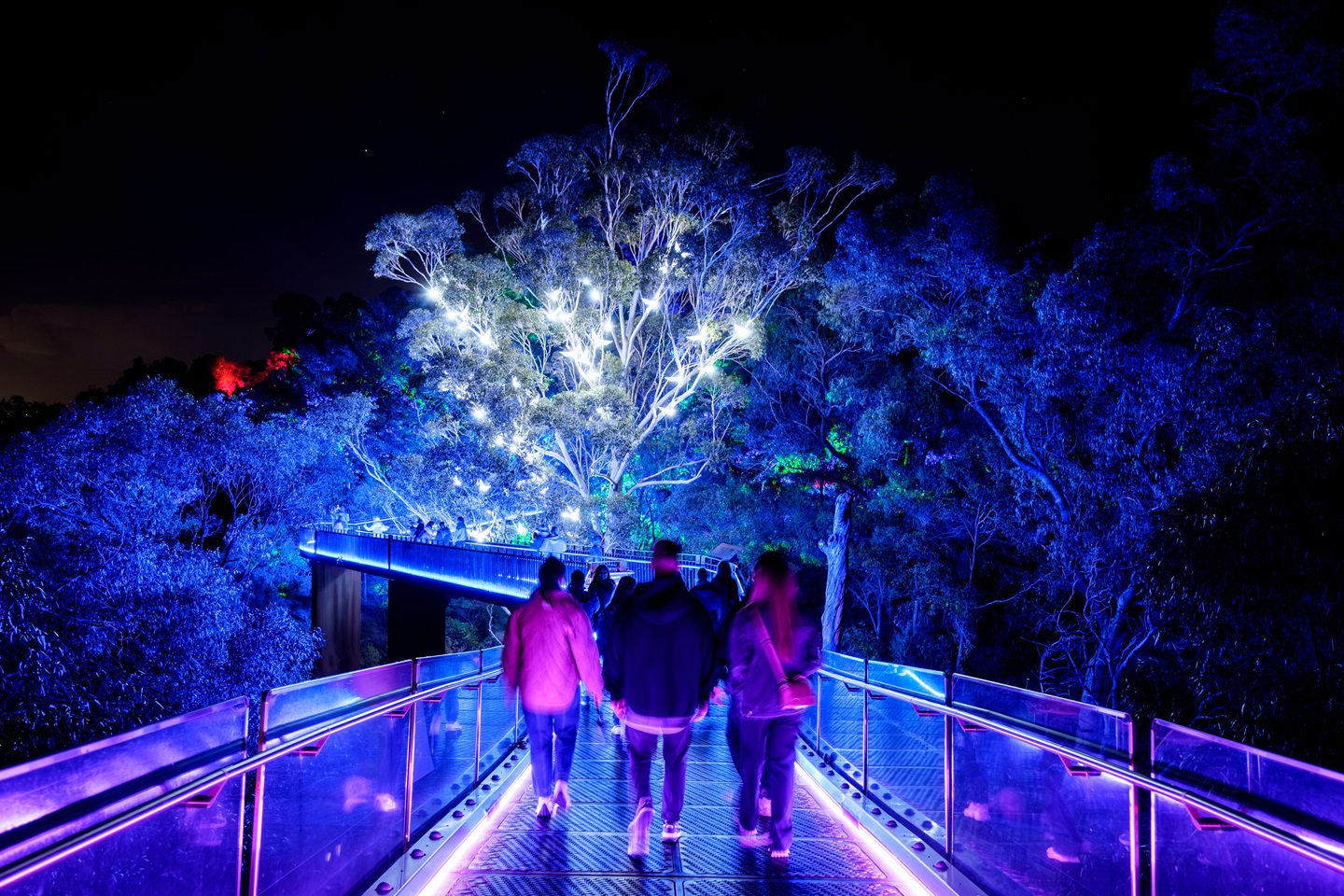 Lightscape 2025 | Visit Perth