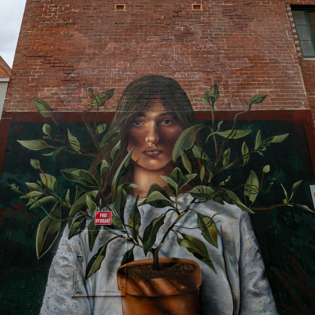Murals & Street Art | Visit Perth