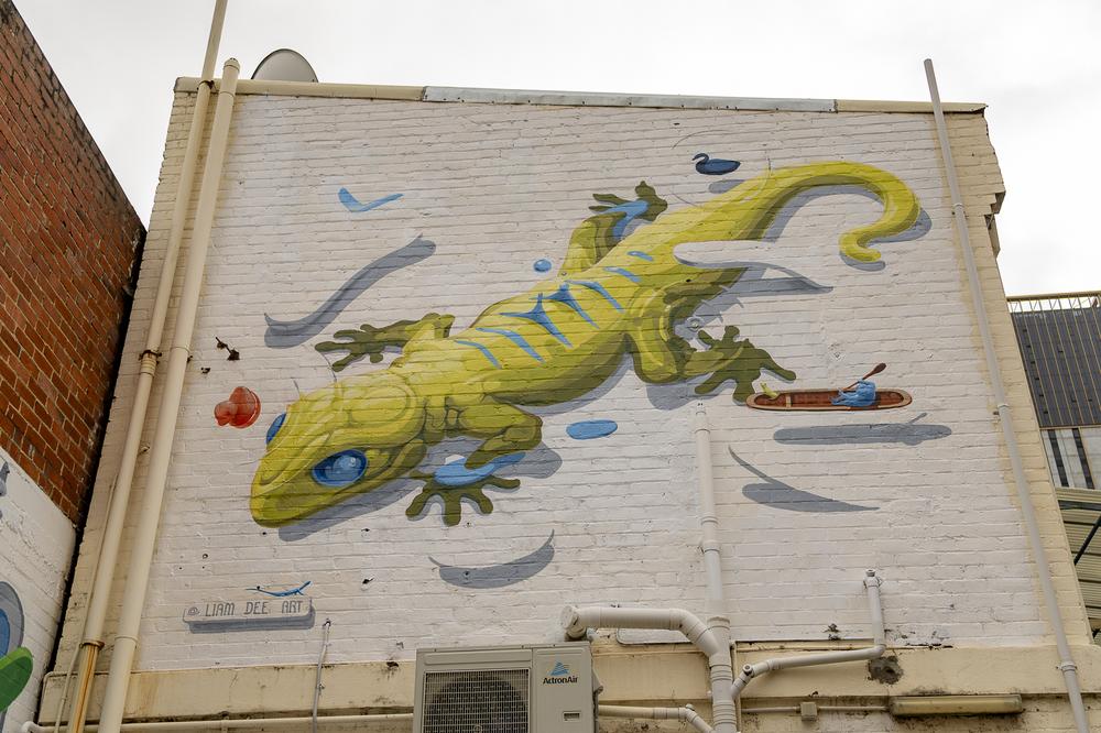 Murals & Street Art | Visit Perth